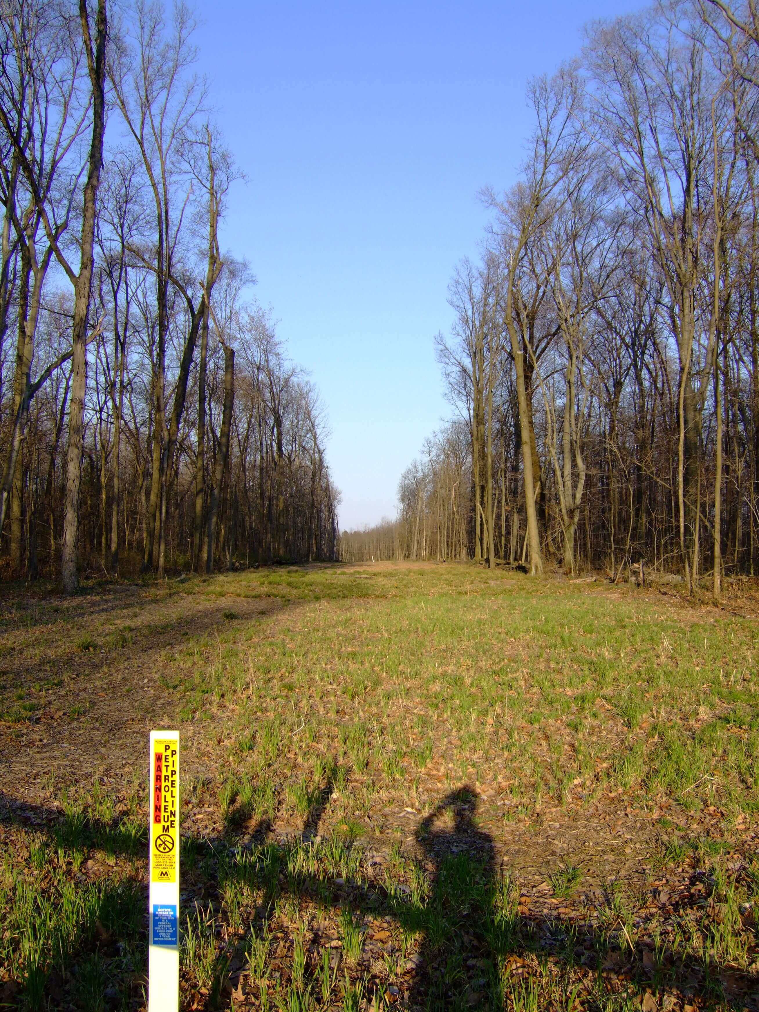 The Importance of Right-of-Way Clearing
