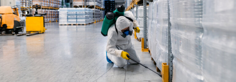 National Pest Management Month – Tips for Proactive Pest Control