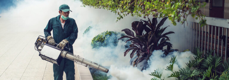 Commercial Mosquito Control: Everything You Need To Know