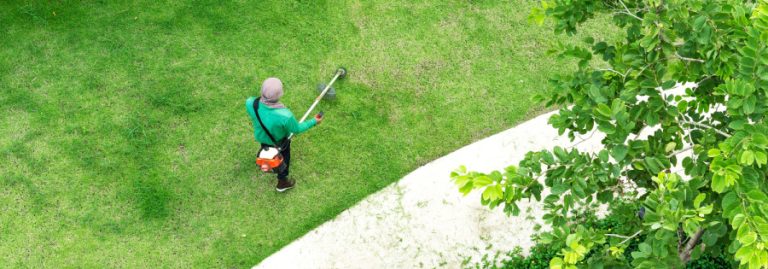 The Business Owner’s Guide to Commercial Weed Control