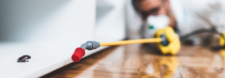 Which Pest Control Method Is Right for Your Business?