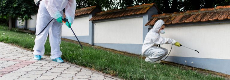 Which Pest Control Method Is Right for Your Business?