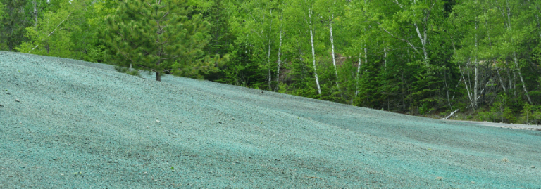 What Is Hydroseeding & How Does it Work? - Coastal Spray