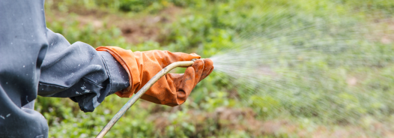 Pre-Emergent vs. Post-Emergent Herbicides | Coastal Spray