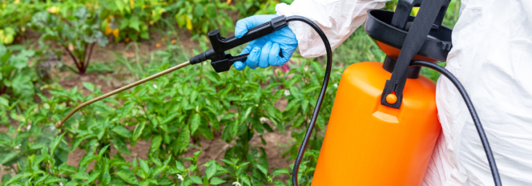 Pre-Emergent vs. Post-Emergent Herbicides | Coastal Spray